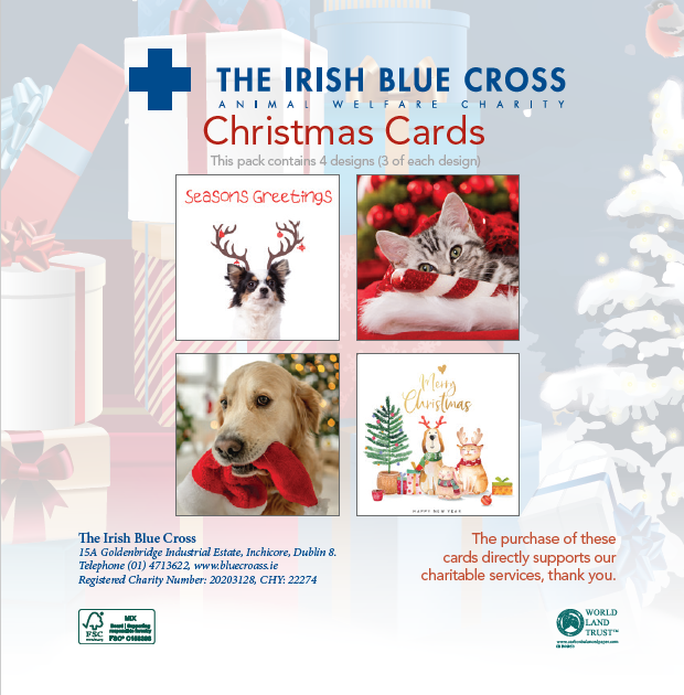The Irish Blue Cross Christmas Cards 2025 – The Irish Blue Cross